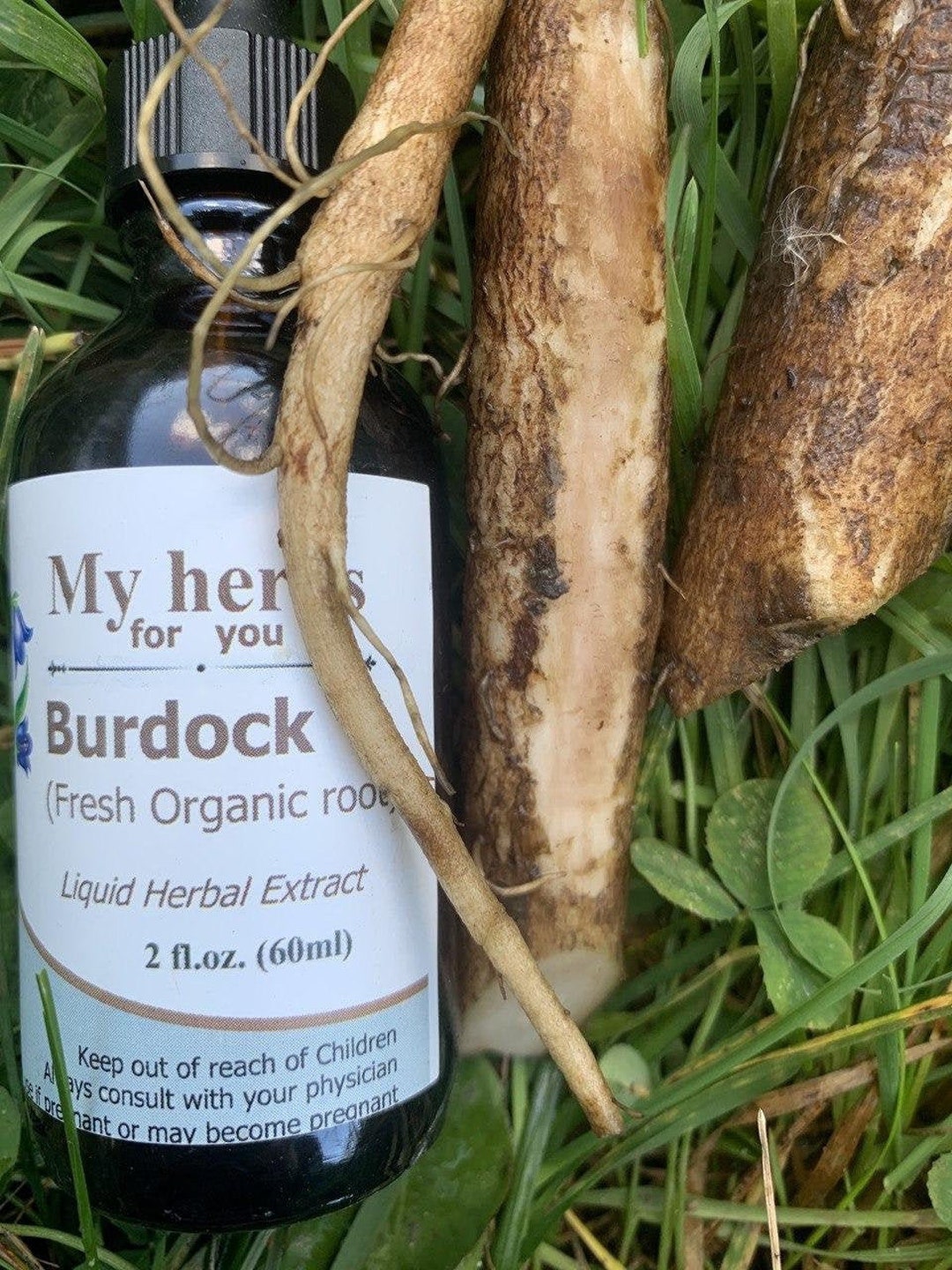 Burdock (fresh Organic Root) Tincture - Etsy