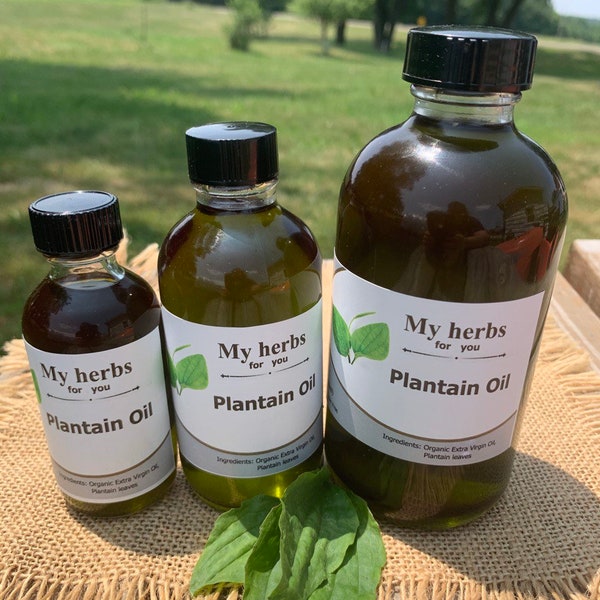 Plantain Infused Oil - Etsy