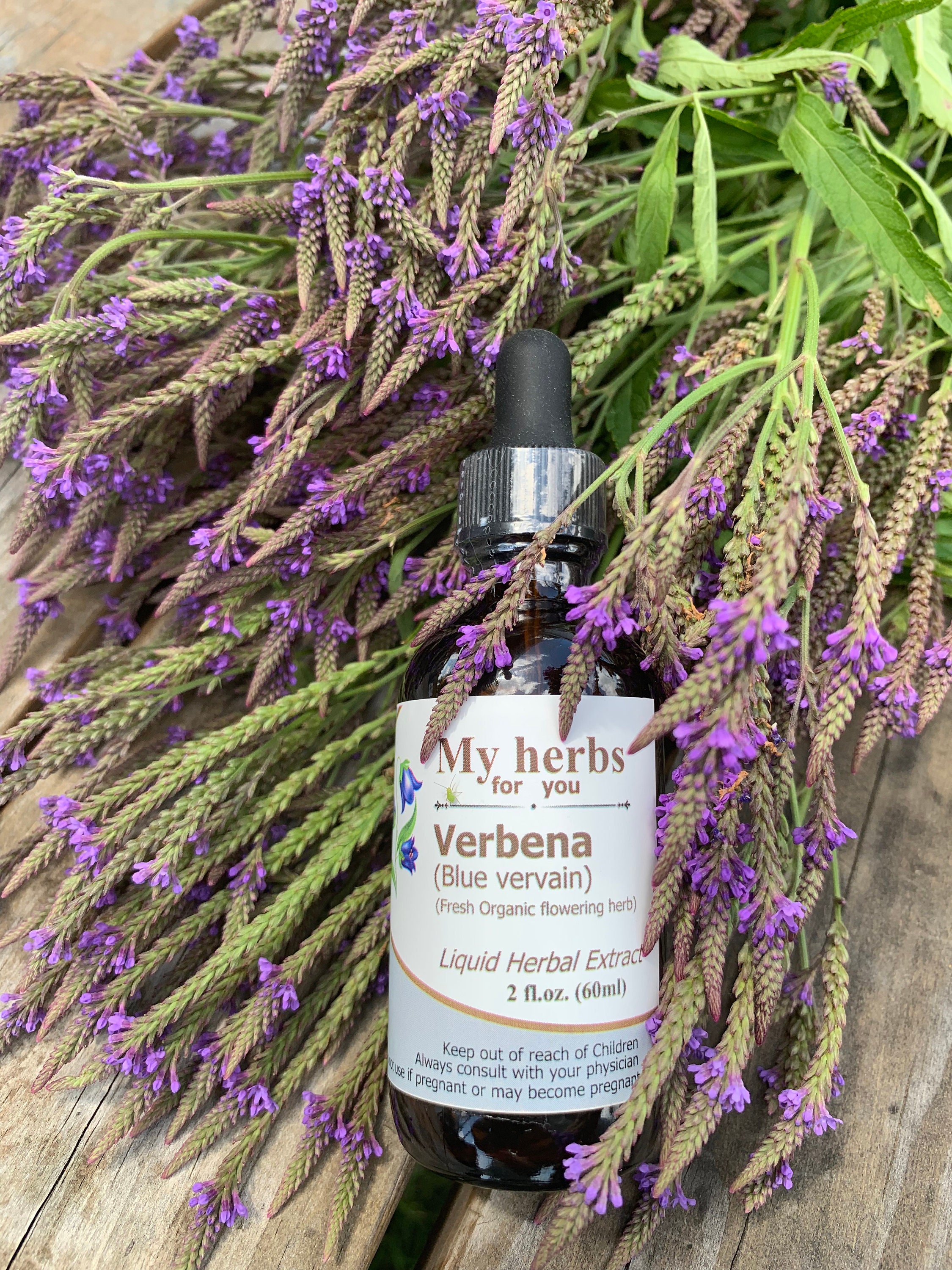 Blue Vervain FRESH Organic Plant Tincture Verbena Hastata - Etsy