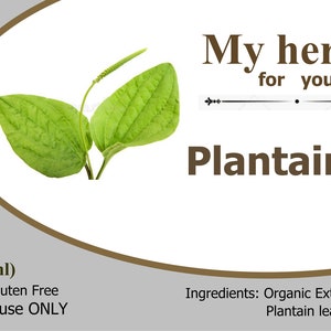 Pure Plantain Oil, Organic - Etsy