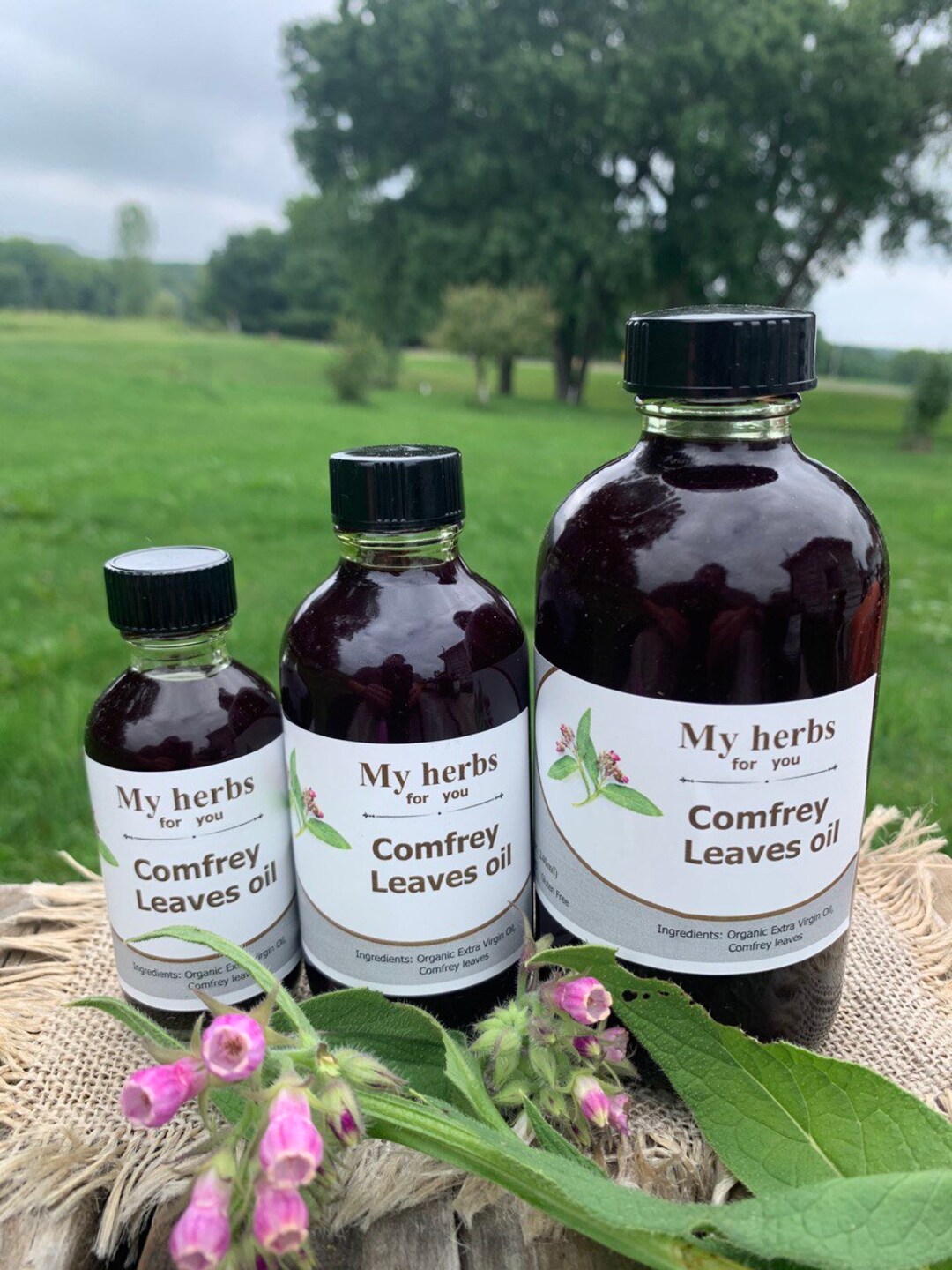 Comfrey Leaves Oil, Organic - Etsy