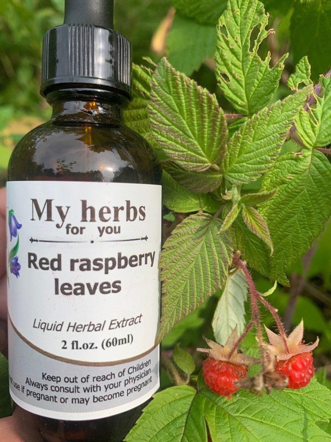 Red Raspberry Leaf Tincture, Organic - Etsy