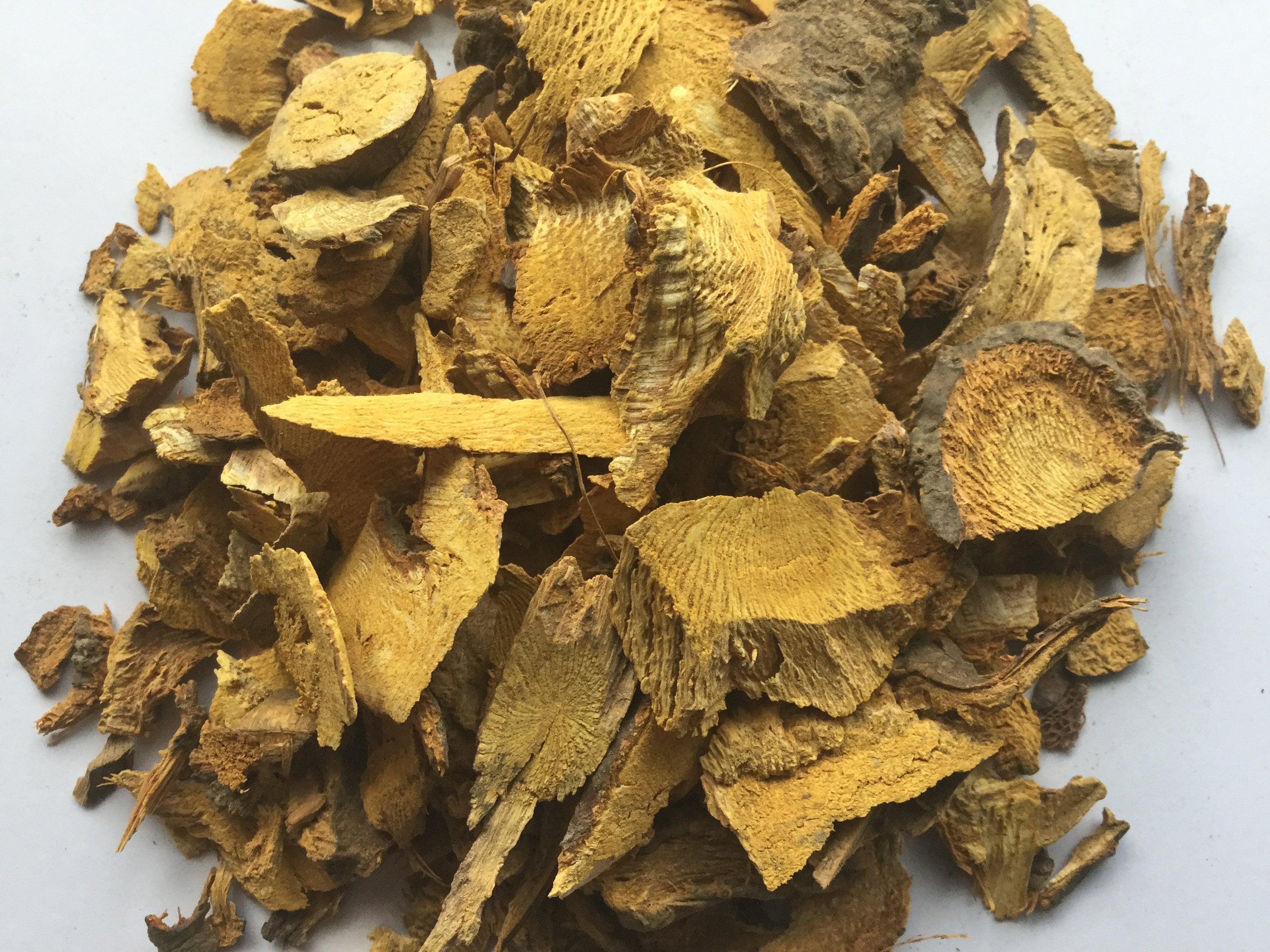Japanese Knotweed Herbal Extract, Alcohol Free; Organic - Etsy