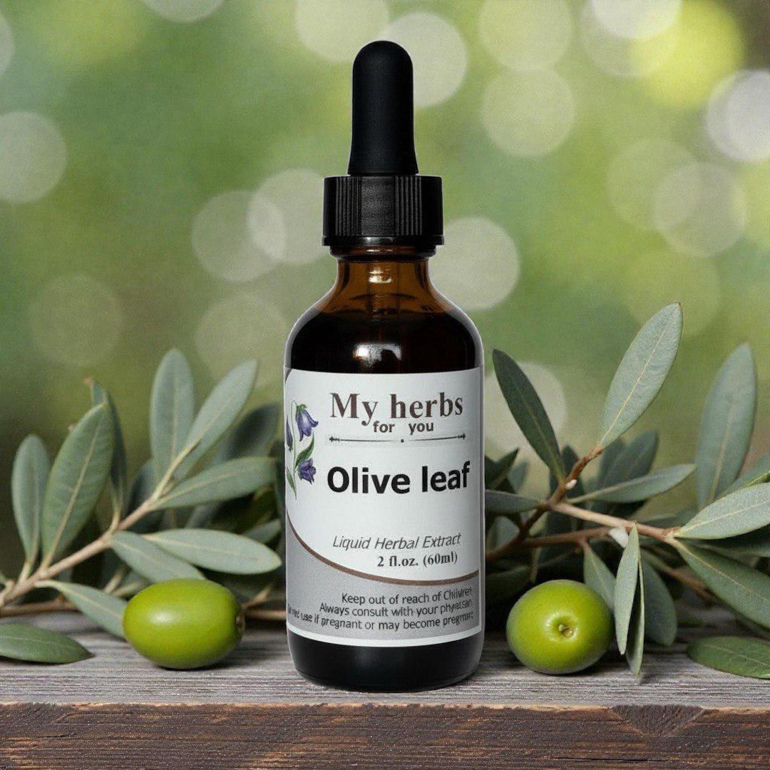 Olive Leaf Tincture, Organic - Etsy