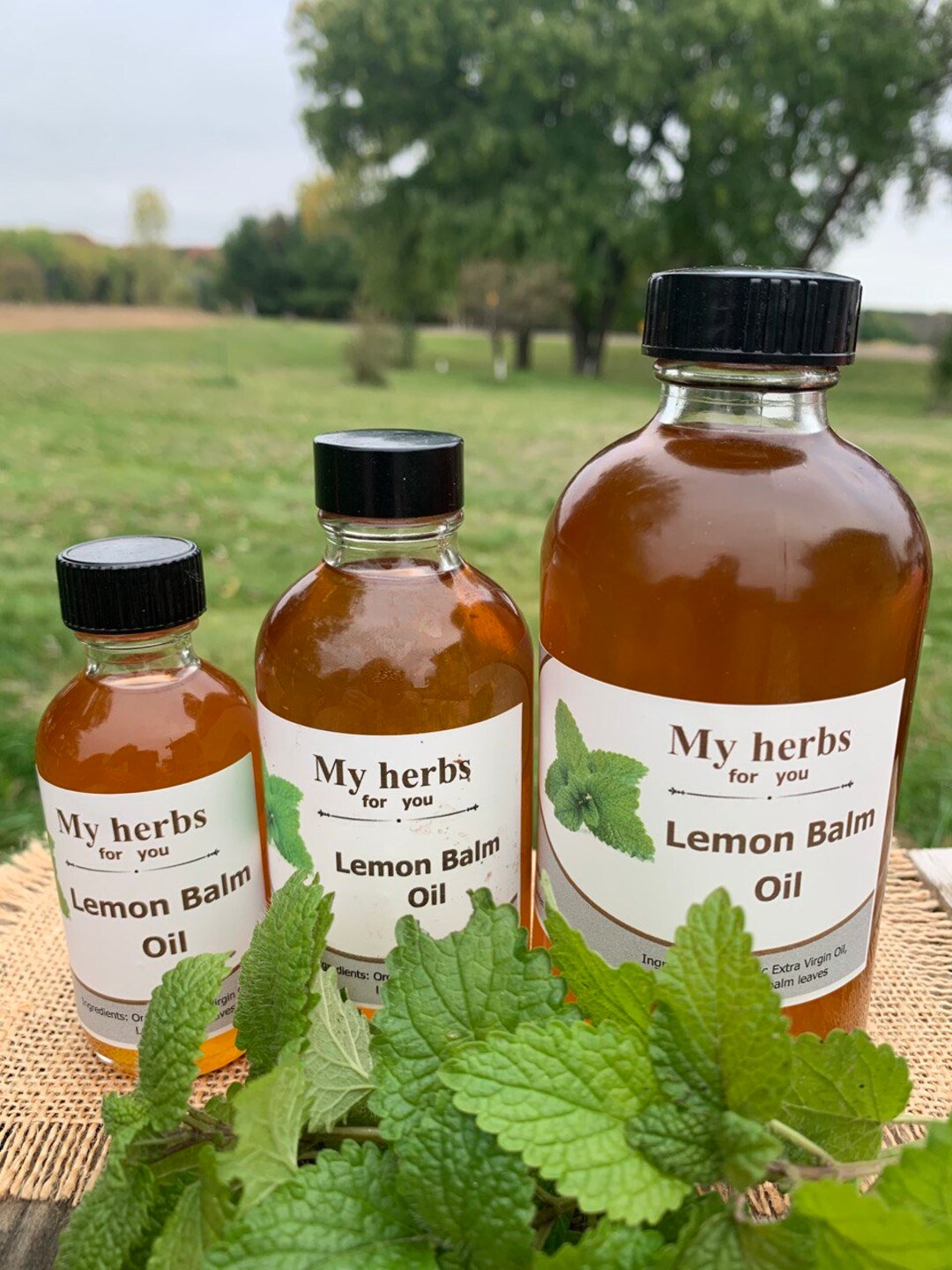 Lemon Balm Oil, Organic - Etsy