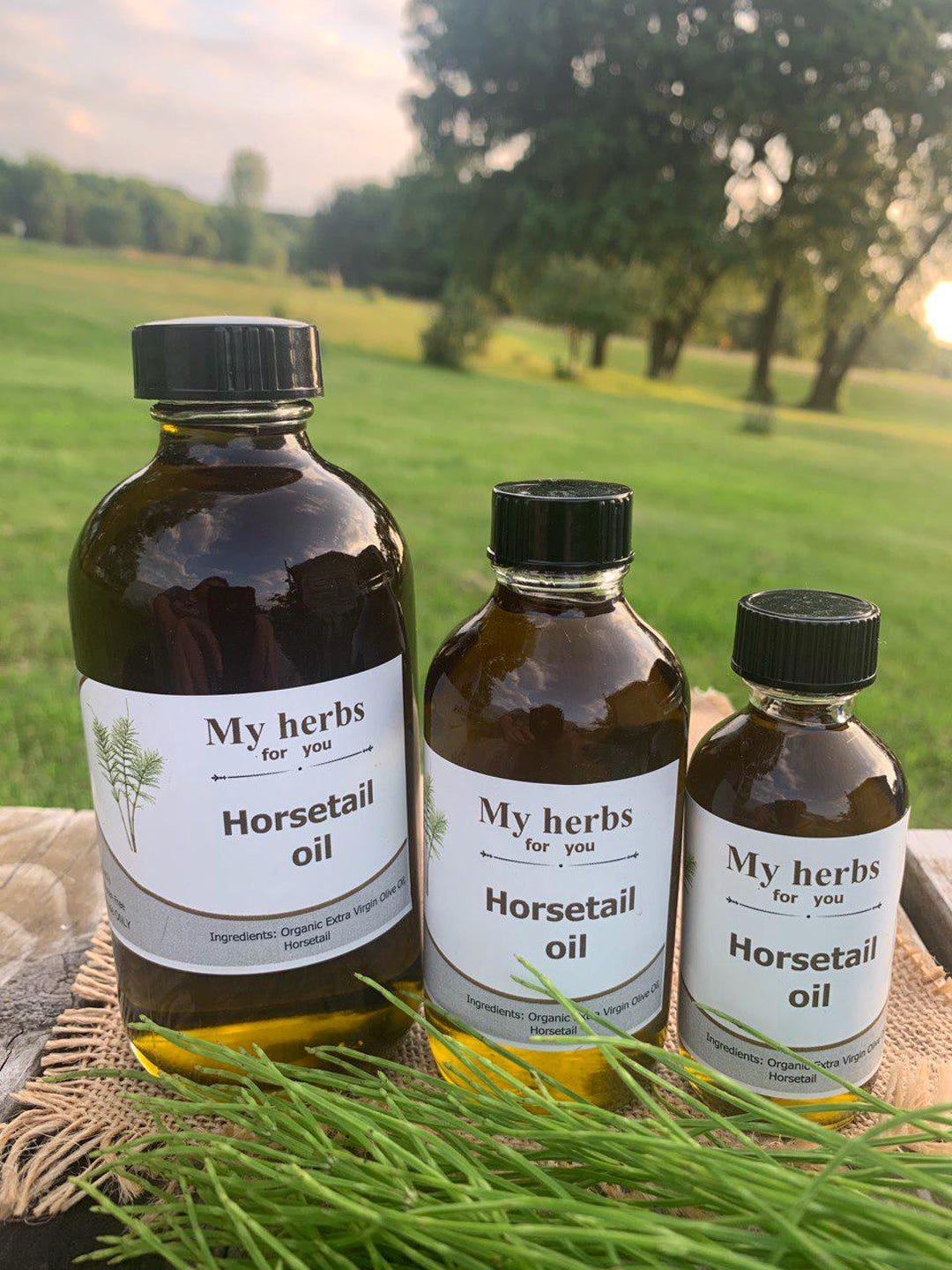 Horsetail Oil, Organic - Etsy