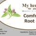 Comfrey Root Oil, Organic - Etsy Canada