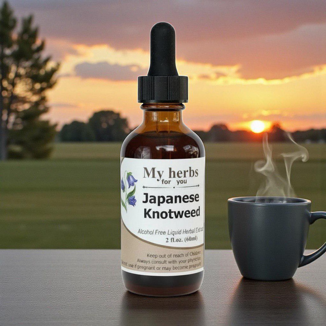 Japanese Knotweed Herbal Extract, Alcohol Free; Organic - Etsy
