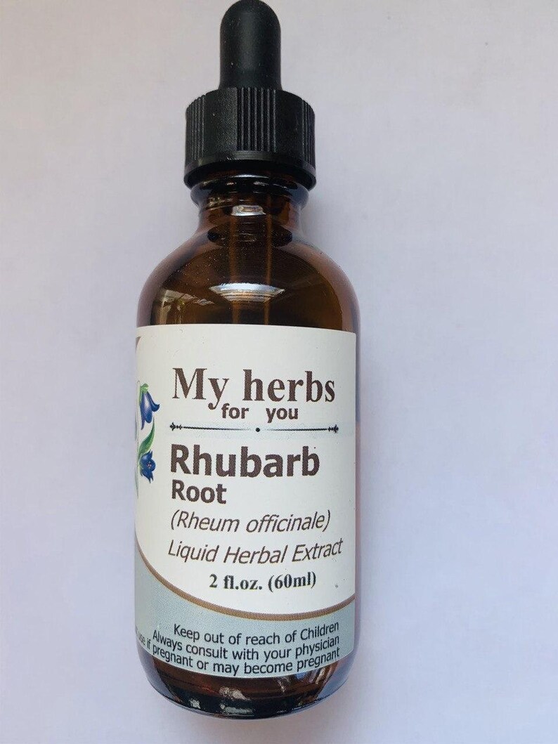 Rhubarb Root Tincture Rheum Palmatum Chinese Rhubarb Turkey - Etsy
