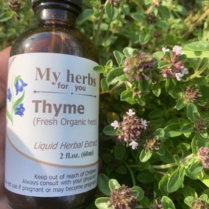 Thyme Oil, Organic - Etsy