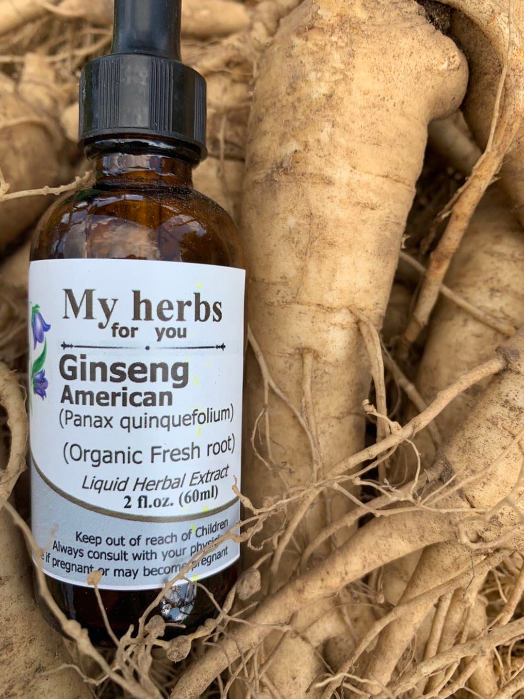 Ginseng (FRESH Organic Roots) Tincture, Ginseng American, Panax ...