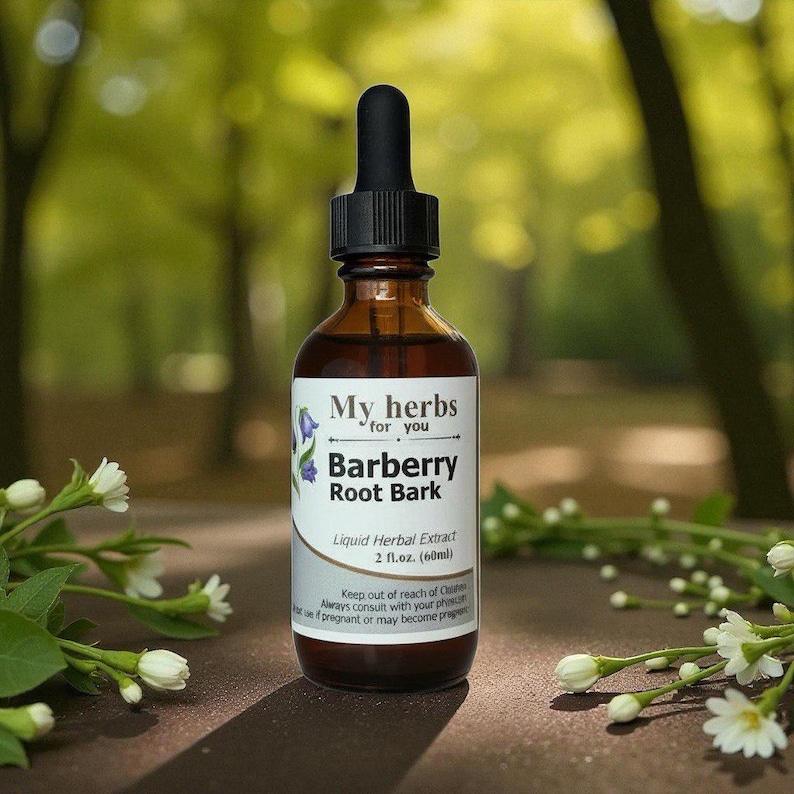 Barberry Root Bark Tincture, Berberis Vulgaris - Etsy