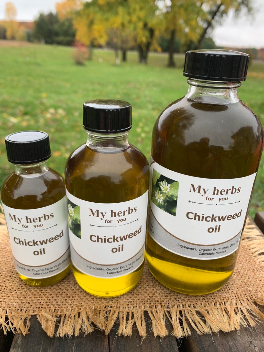 Chickweed Oil, Organic - Etsy