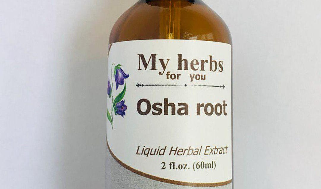 Osha Tincture, Ligusticum Porteri, Organic - Etsy