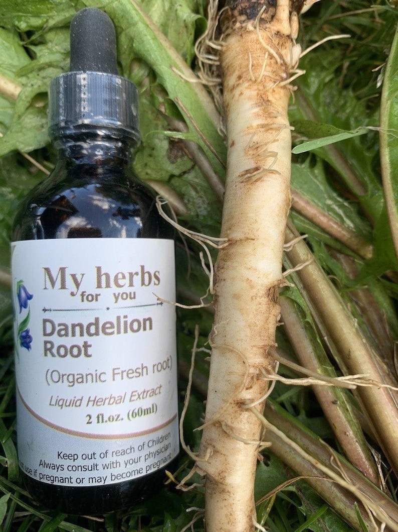 Dandelion Root (fresh Organic Root) Tincture - Etsy