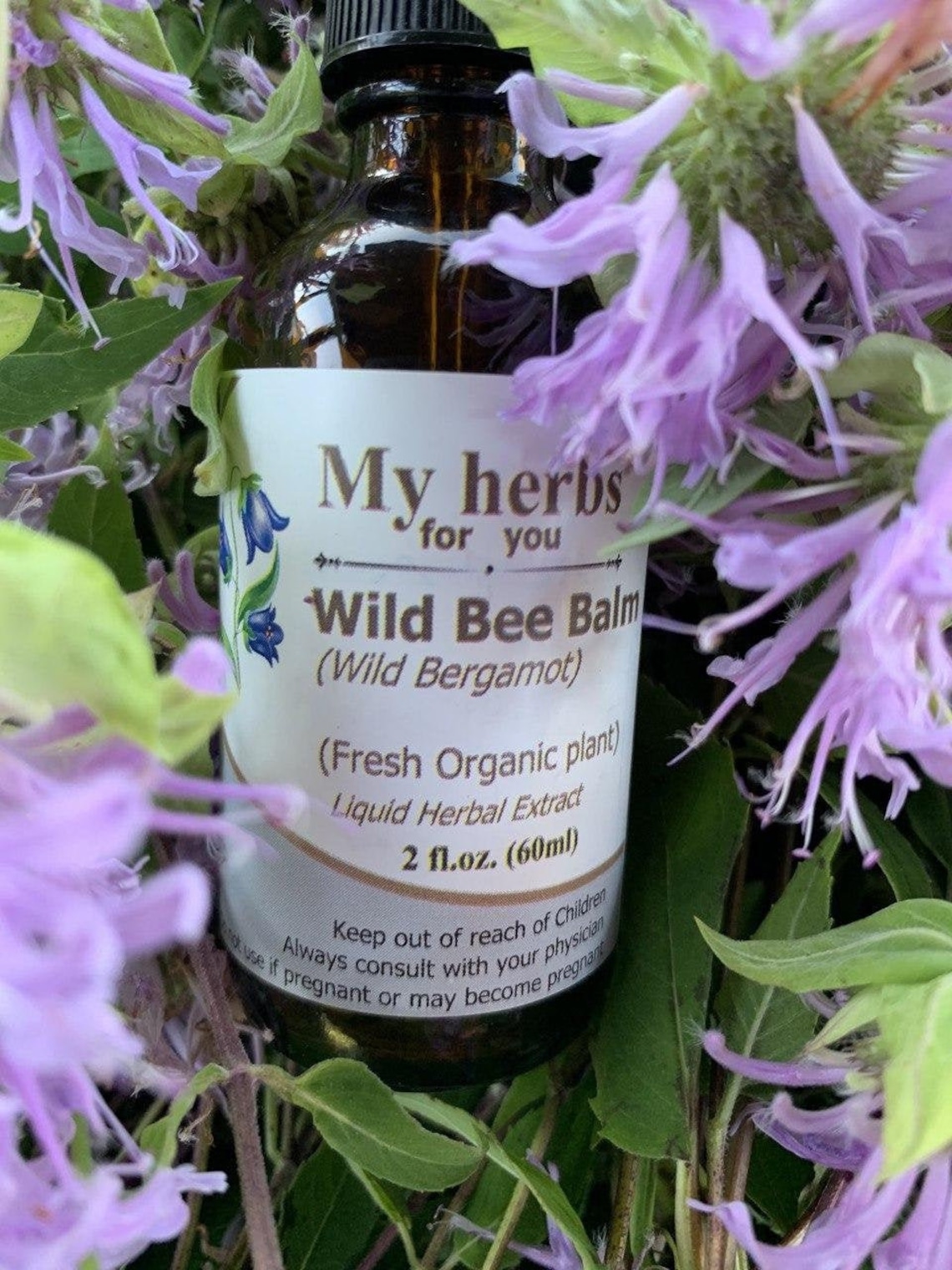 Bee Balm (fresh Organic Plant) Tincture, Wild Bergamot, Monarda ...