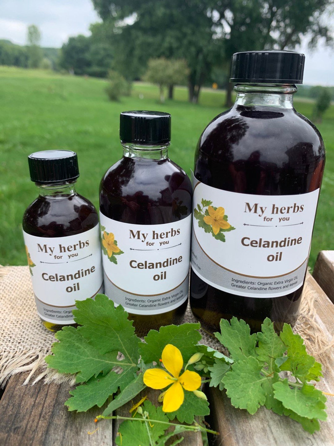 Celandine Oil, Organic - Etsy
