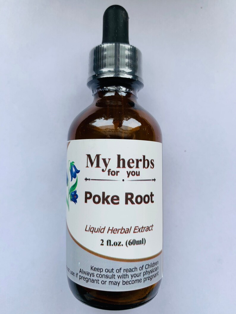 Poke Root Tincture - Etsy