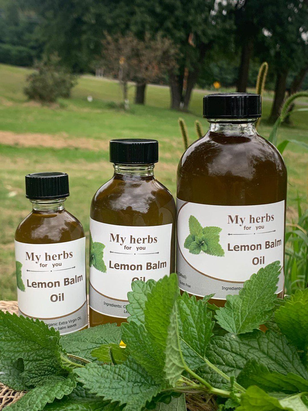 Lemon Balm Oil, Organic - Etsy