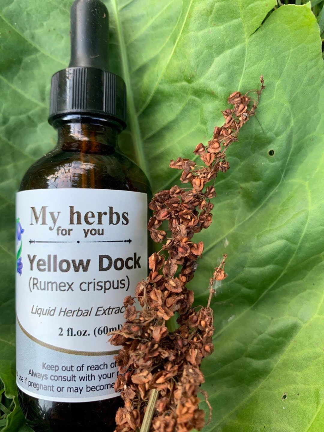 Yellow Dock Root Tincture, Rumex Crispus - Etsy