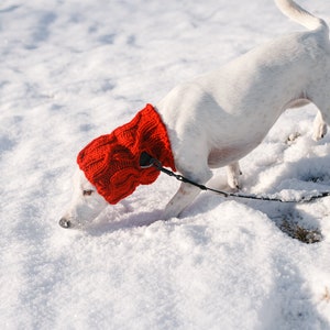 Dog Snood Knitting Pattern/ Written and Chart Instructions / All Sizes ...