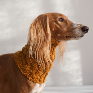 Dog Snood Knitting Pattern/ Written and Chart Instructions / All Sizes ...