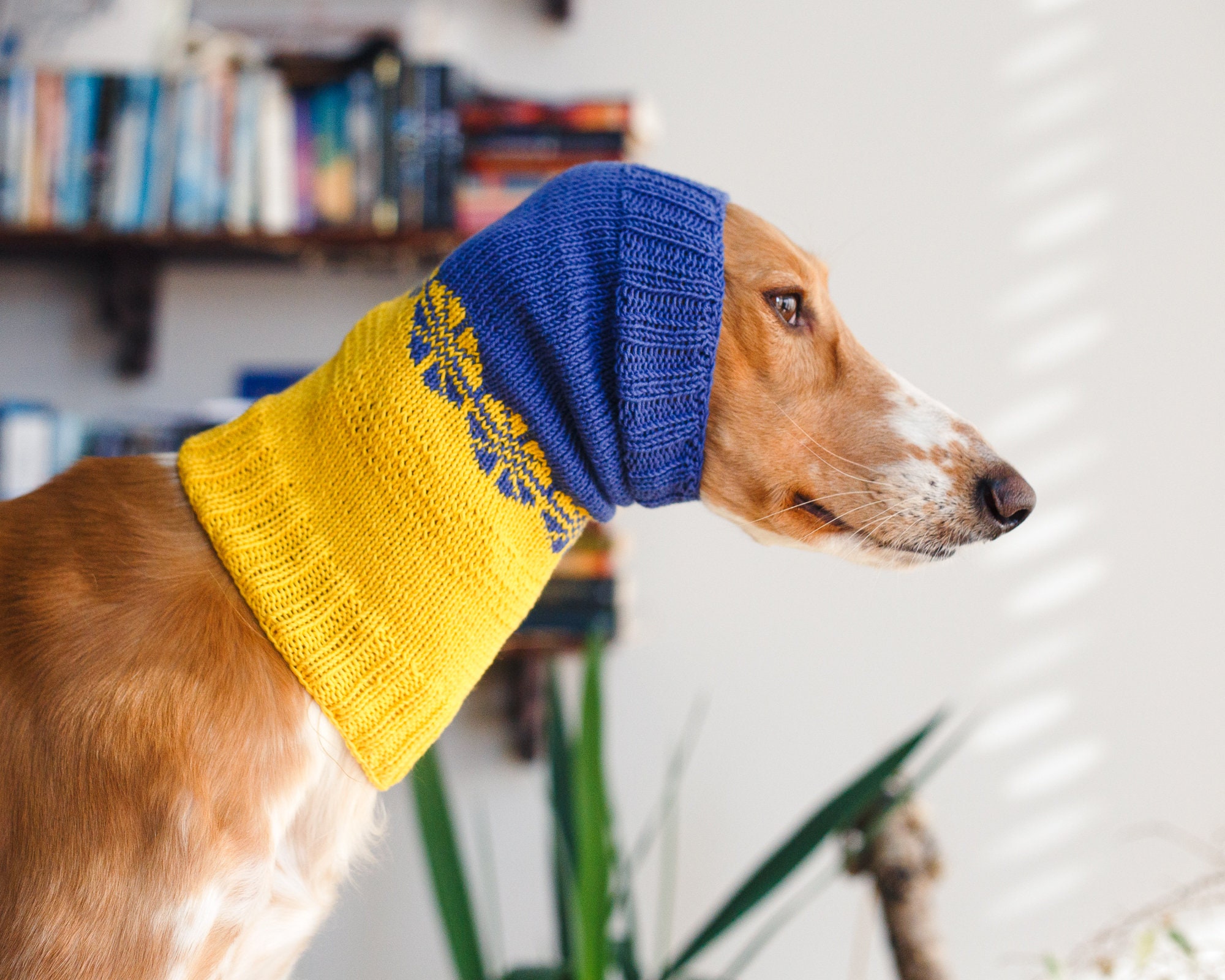 Support Ukraine Knitting Pattern for Dog Snood / Sunflower | Etsy