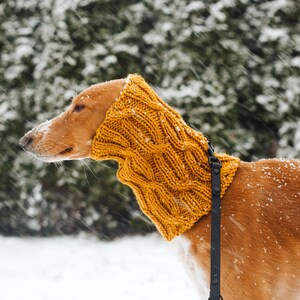 Dog Snood Knitting Pattern/ Written and Chart Instructions / All Sizes ...