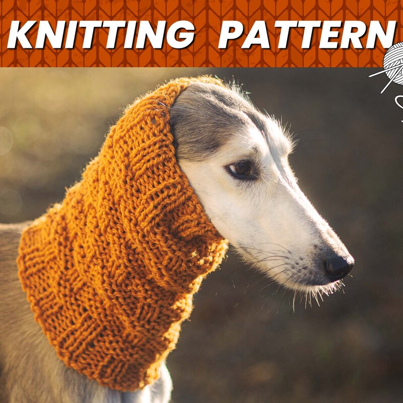 Dog Snood Pattern - Etsy