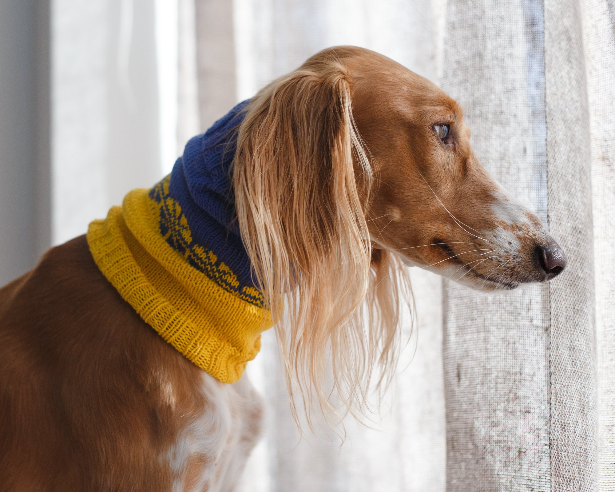 Support Ukraine Knitting Pattern for Dog Snood / Sunflower | Etsy