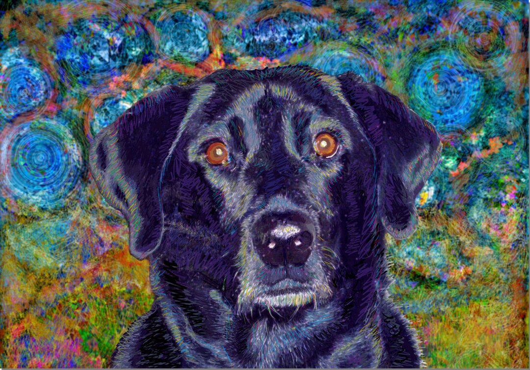 Custom Black Labrador Pet Portrait on Archival Paper - Artwork From ...