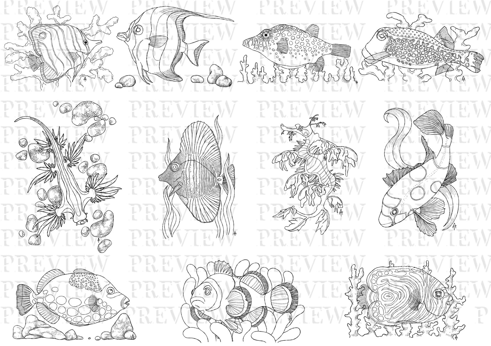 Coral Fish - Coloring Sheets for Iphone, iPad - Etsy