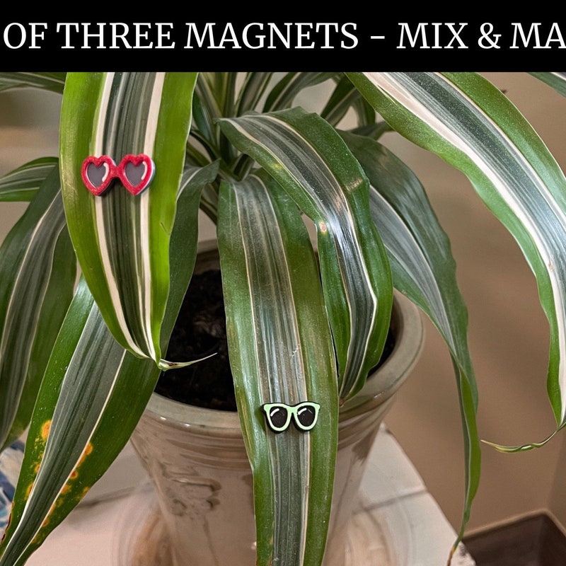 Plant Magnet - Etsy