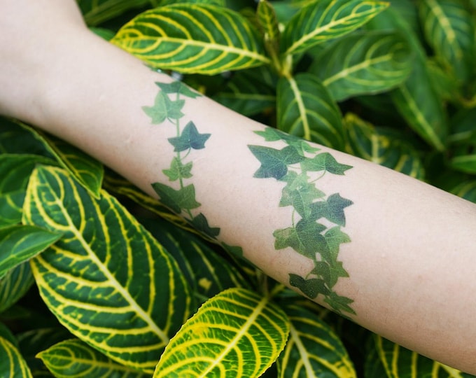 Englischer Efeu (2er Set) - Efeu temporäres Tattoo / Hedera Helix ...