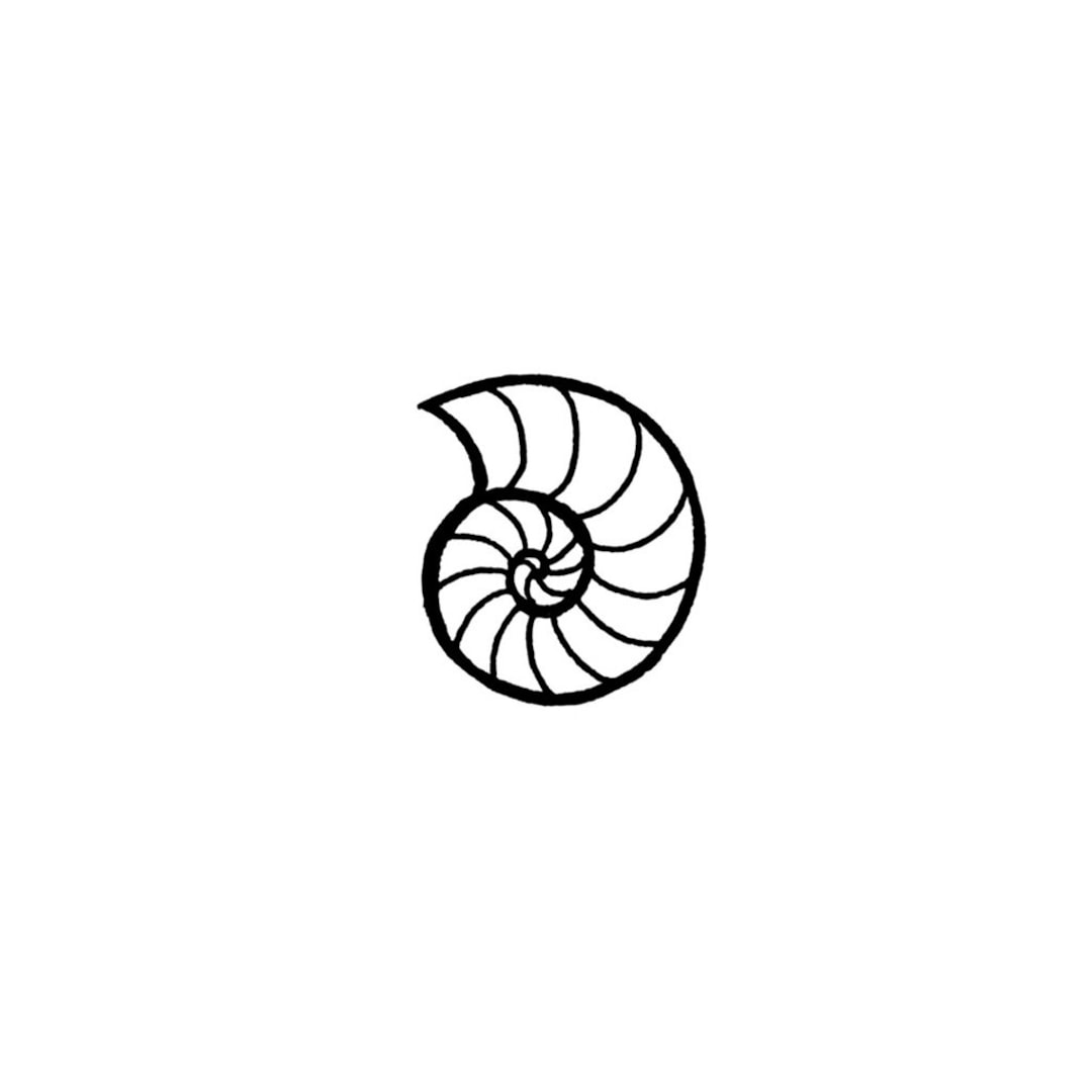 Minimalist Seashell (set of 2) - Seashell Temporary Tattoo / Minimalist ...