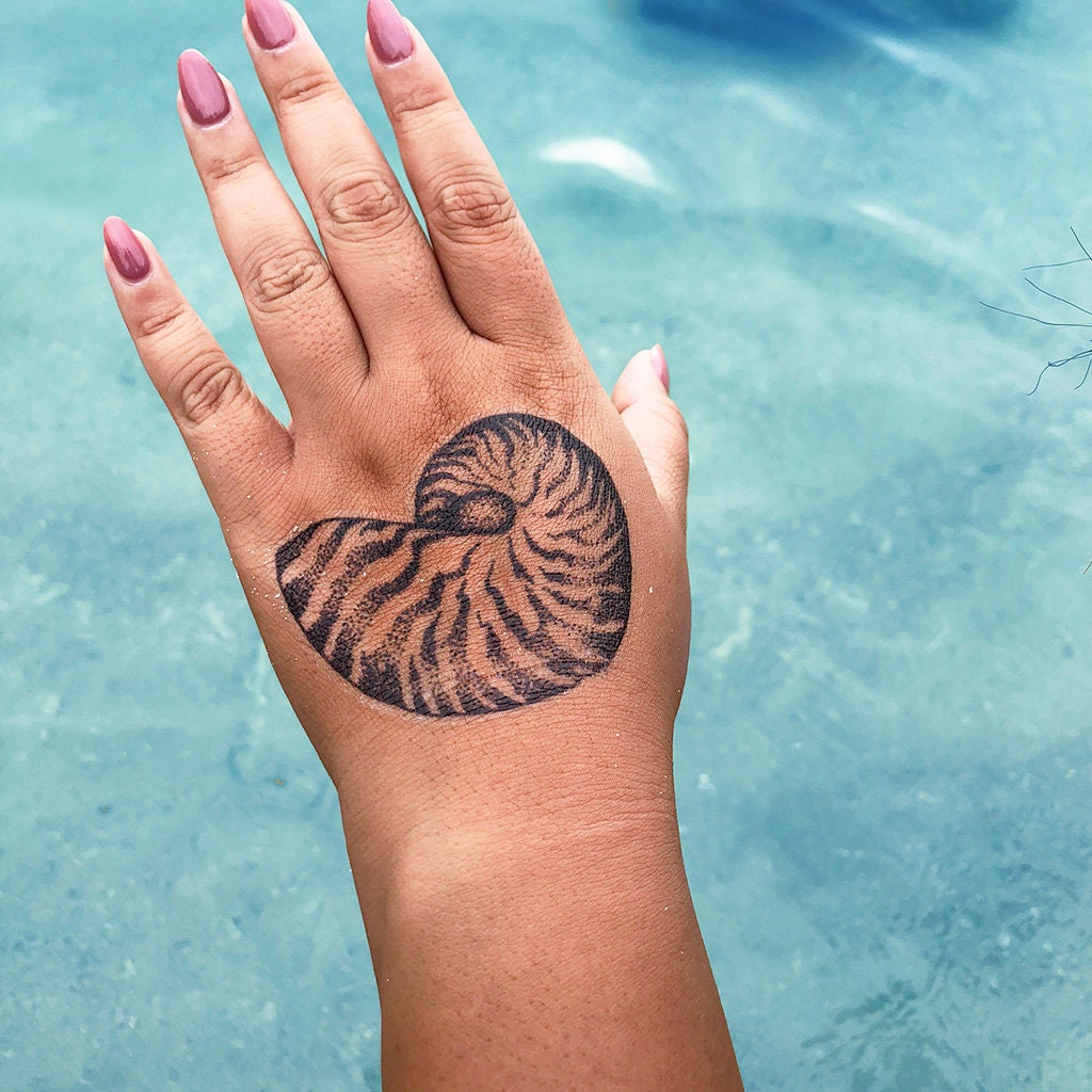Nautilus Shell Nautilus Tattoo / Nautilus Shell Tattoo / - Etsy