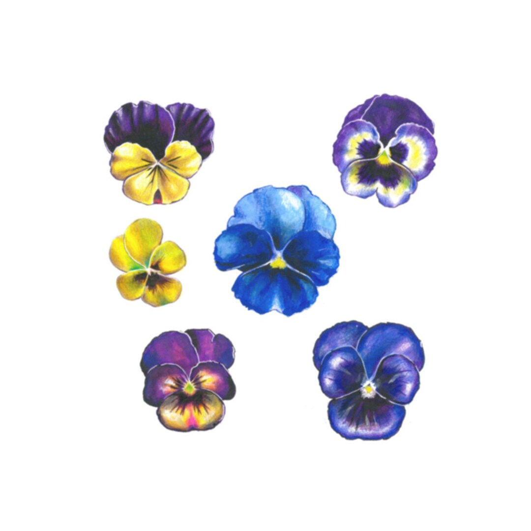 Pansy Tattoo Meaning
