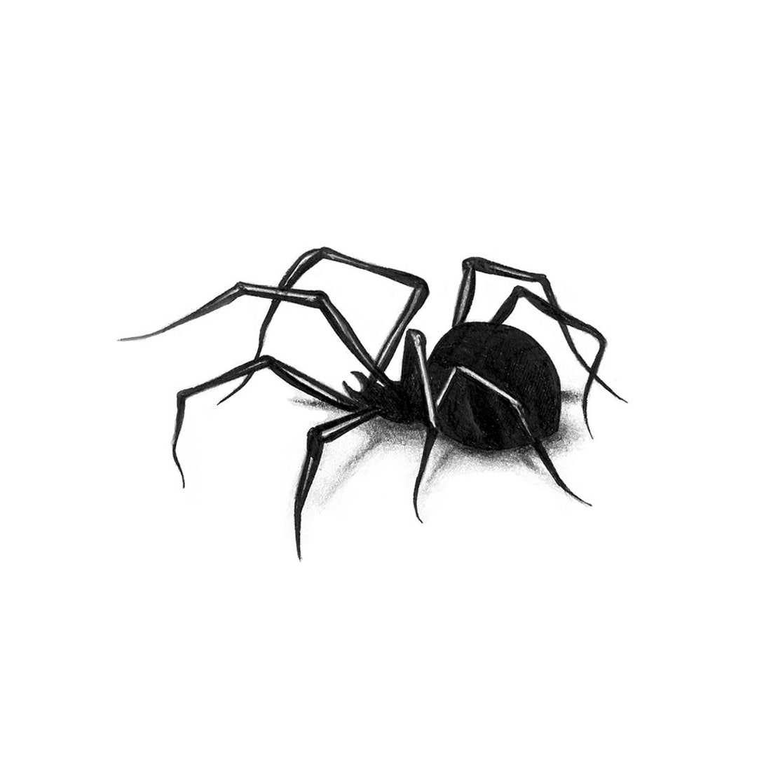 Blackwork Spider - Spider Temporary Tattoo / Spider Blackwork Tattoo ...