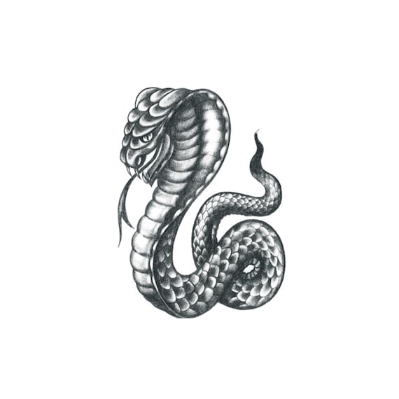 King Cobra Tattoo Traditional