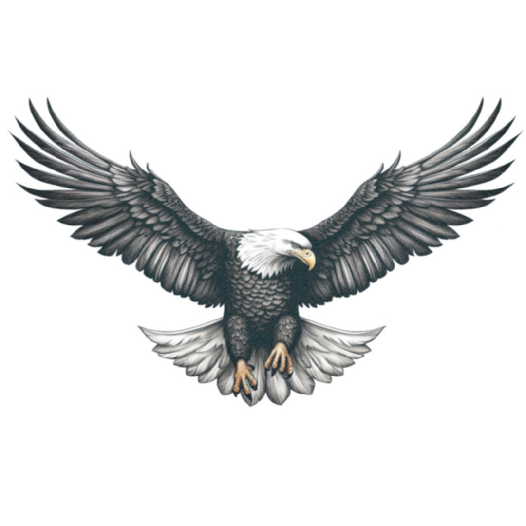 Eagle Wing Tattoos On Chest