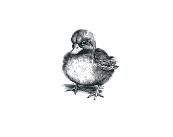 Loon Temporary Fake Tattoo Sticker set of 2 - Etsy