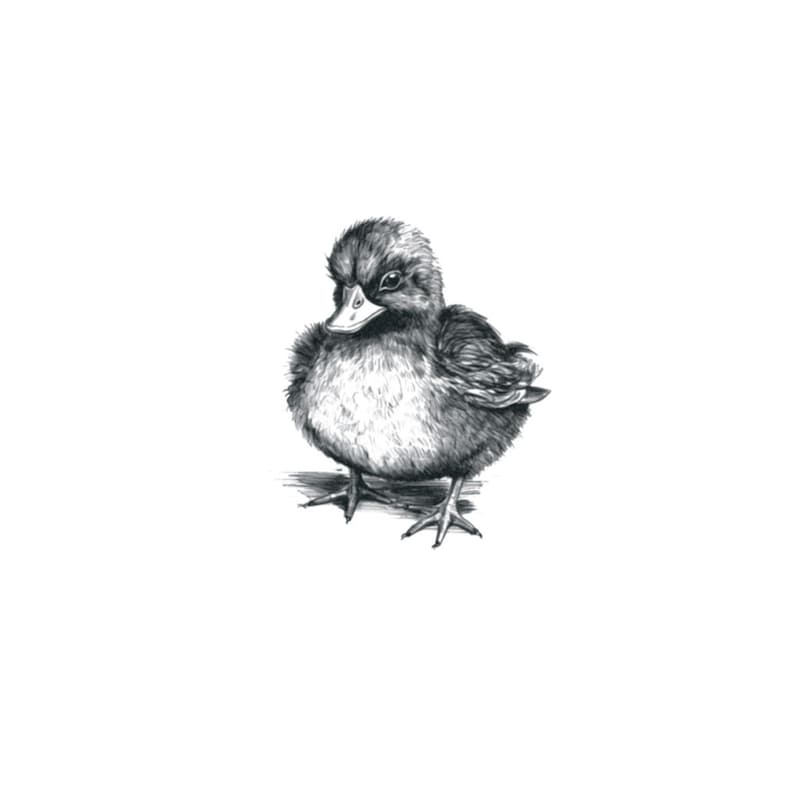 Black Duck Tattoo - Etsy