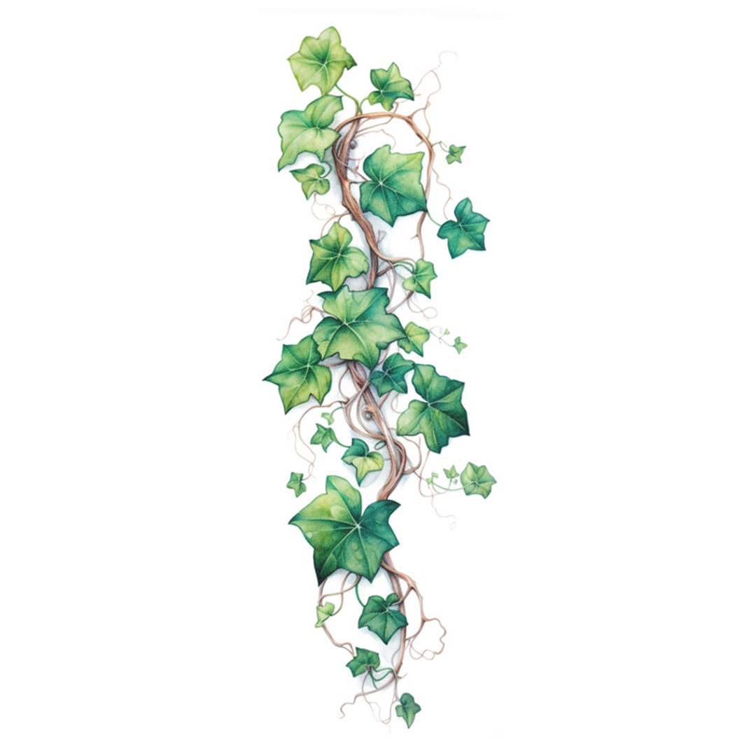 Realistic Ivy Tattoo Temporary Tattoo / Ivy Women Tattoo / Beautiful ...