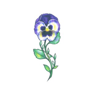 Pansy Tattoo - Pansy Flower Tattoo / Pansy Temporary Tattoo / Viola ...
