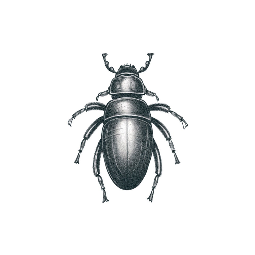 Big Cockroach Tattoo - Cockroach Temporary Tattoo / Scary Tattoo / Bug ...