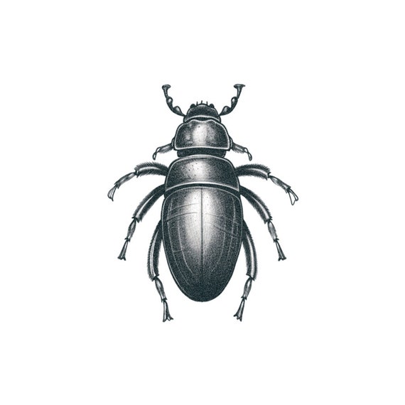 Cockroach Tattoo Realistic Tattoo Cockroachtattoo Cockroach