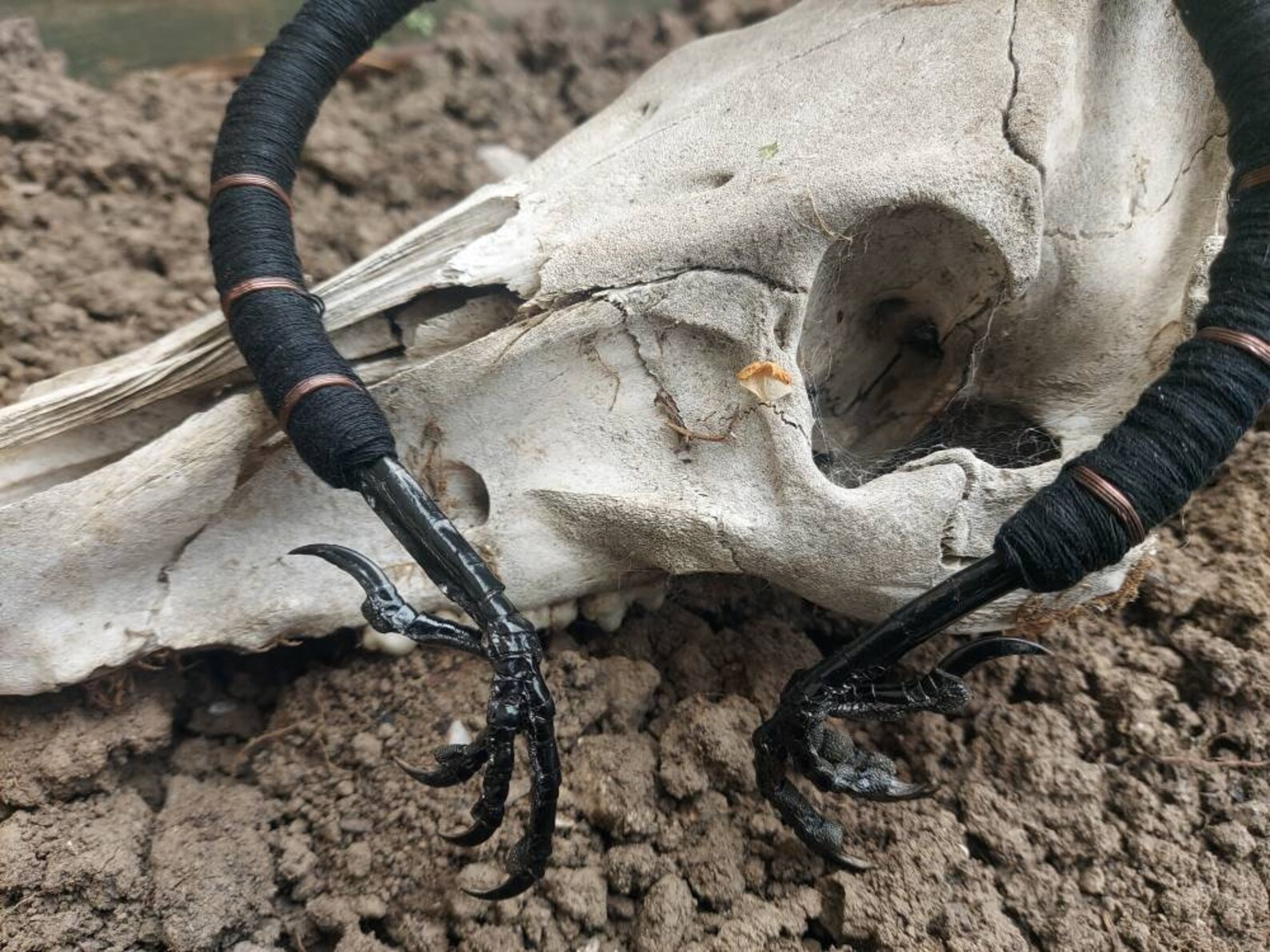 Taxidermy Talon Torc Crow Foot Bird Talon Viking Torc - Etsy