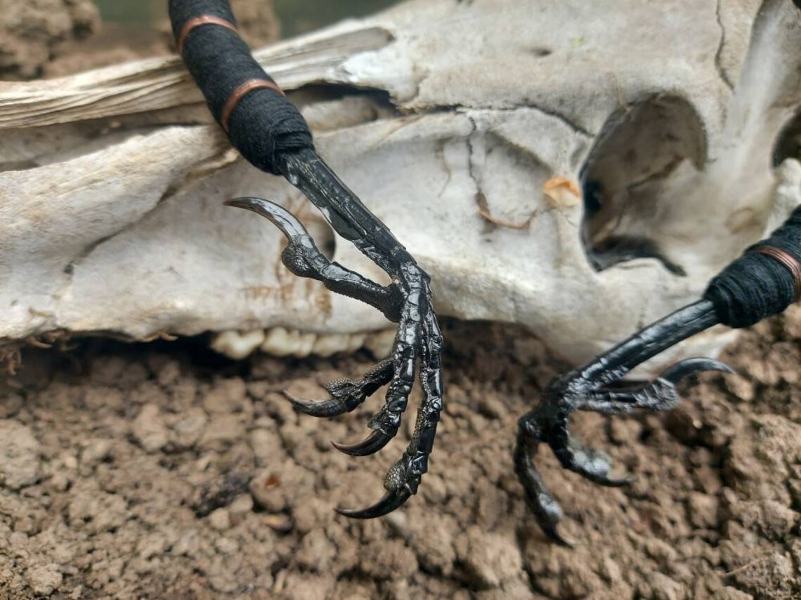 Taxidermy Talon Torc Crow Foot Bird Talon Viking Torc - Etsy