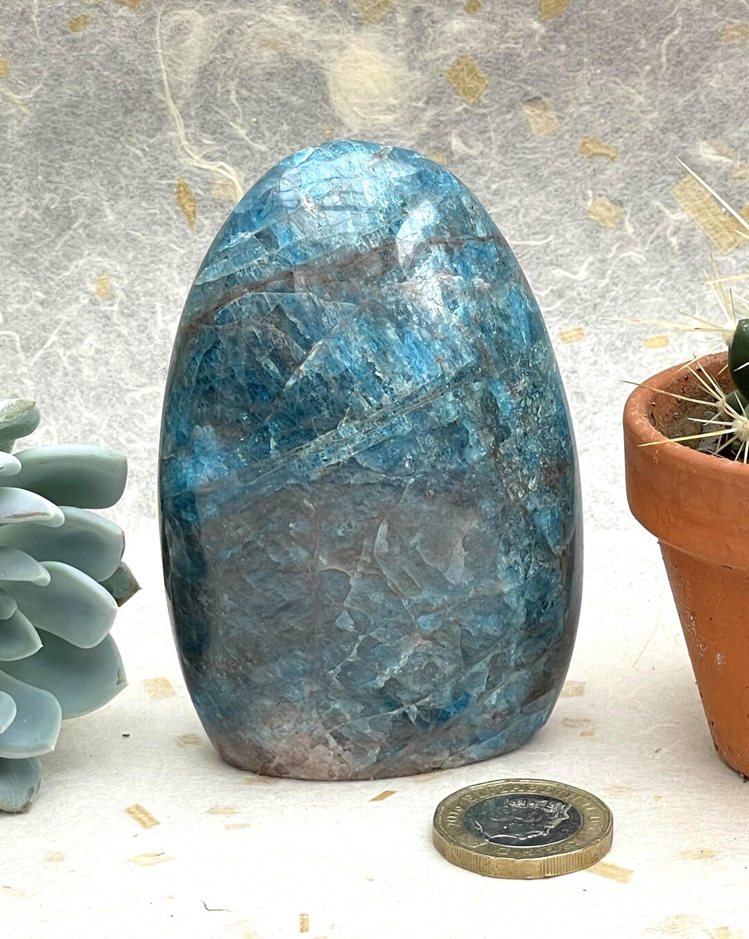 Beautiful Blue Apatite Freeform - Etsy