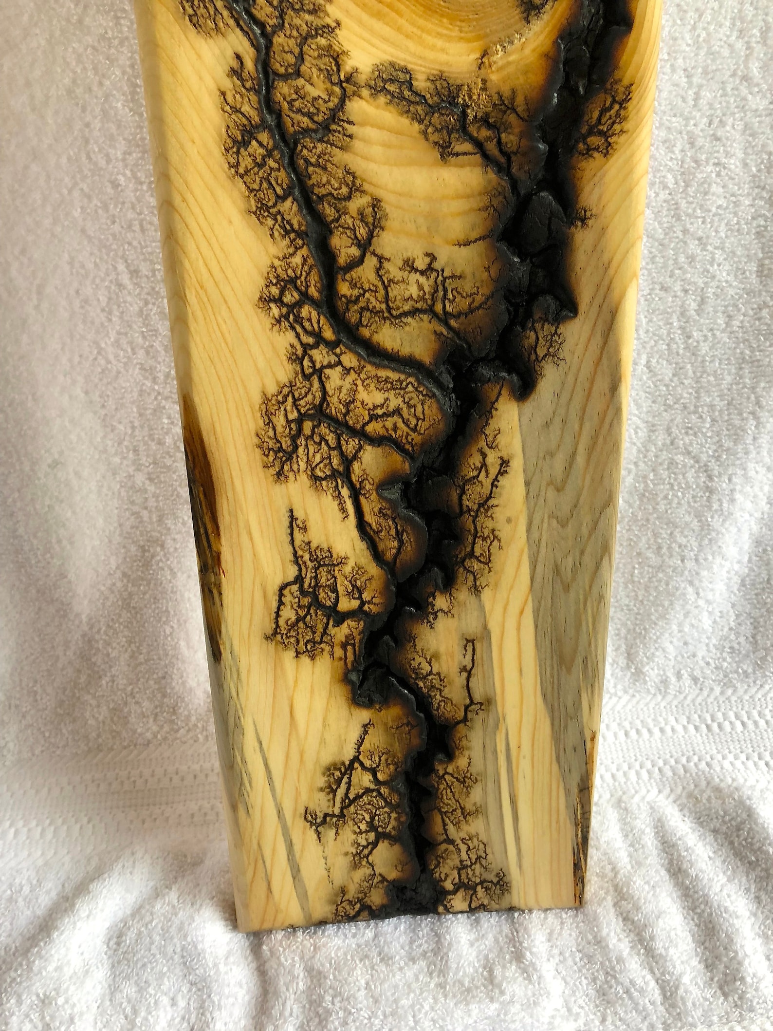 HARDY Fractal burn fractal art high voltage wood burn | Etsy